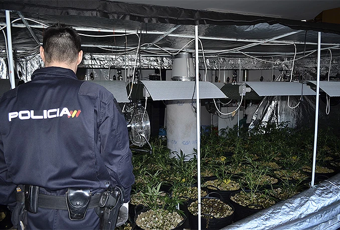Kanabis vrijedan 32,6 milijuna eura zaplijenjen u Sredozemnom moru